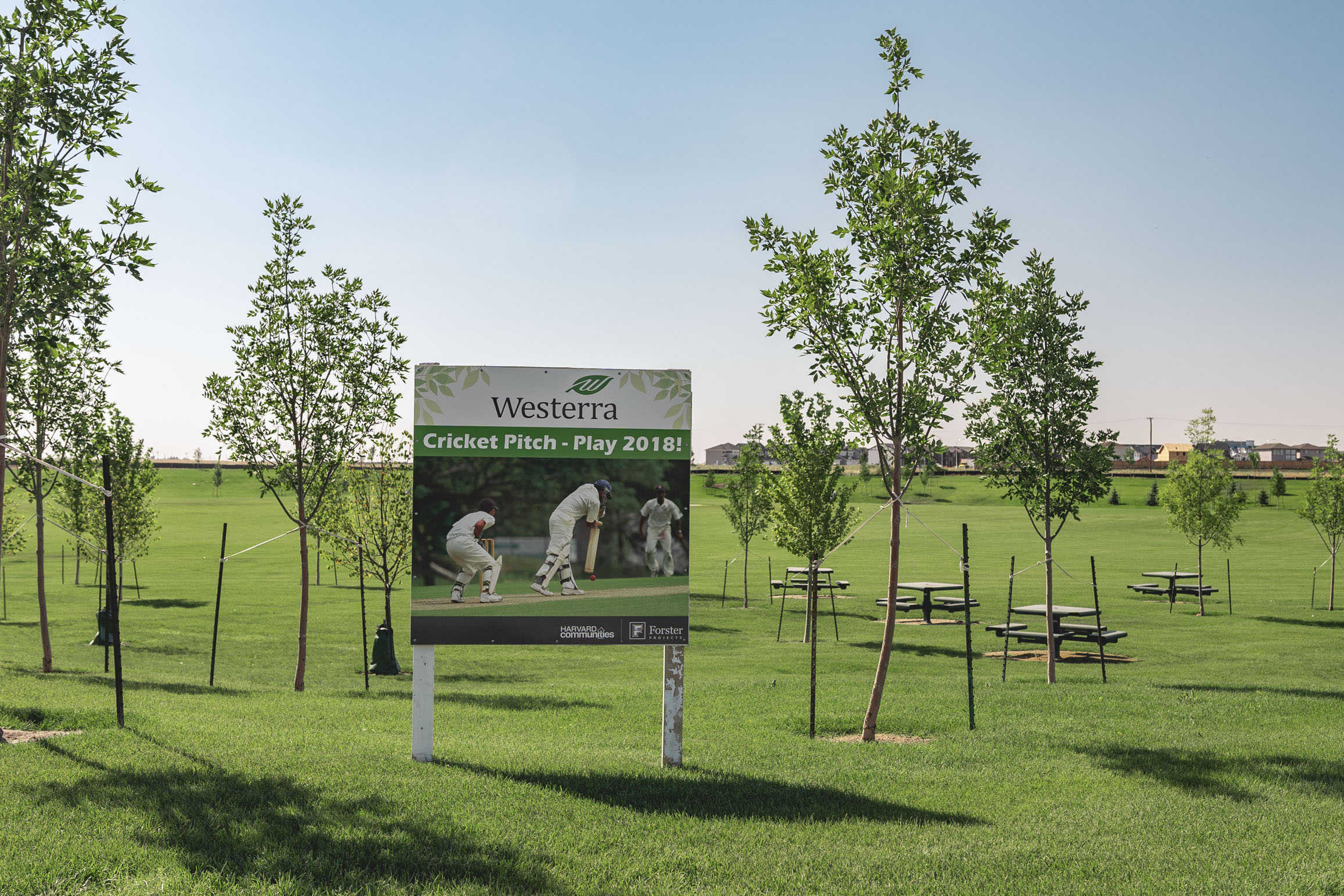 Westerra « Harvard Developments