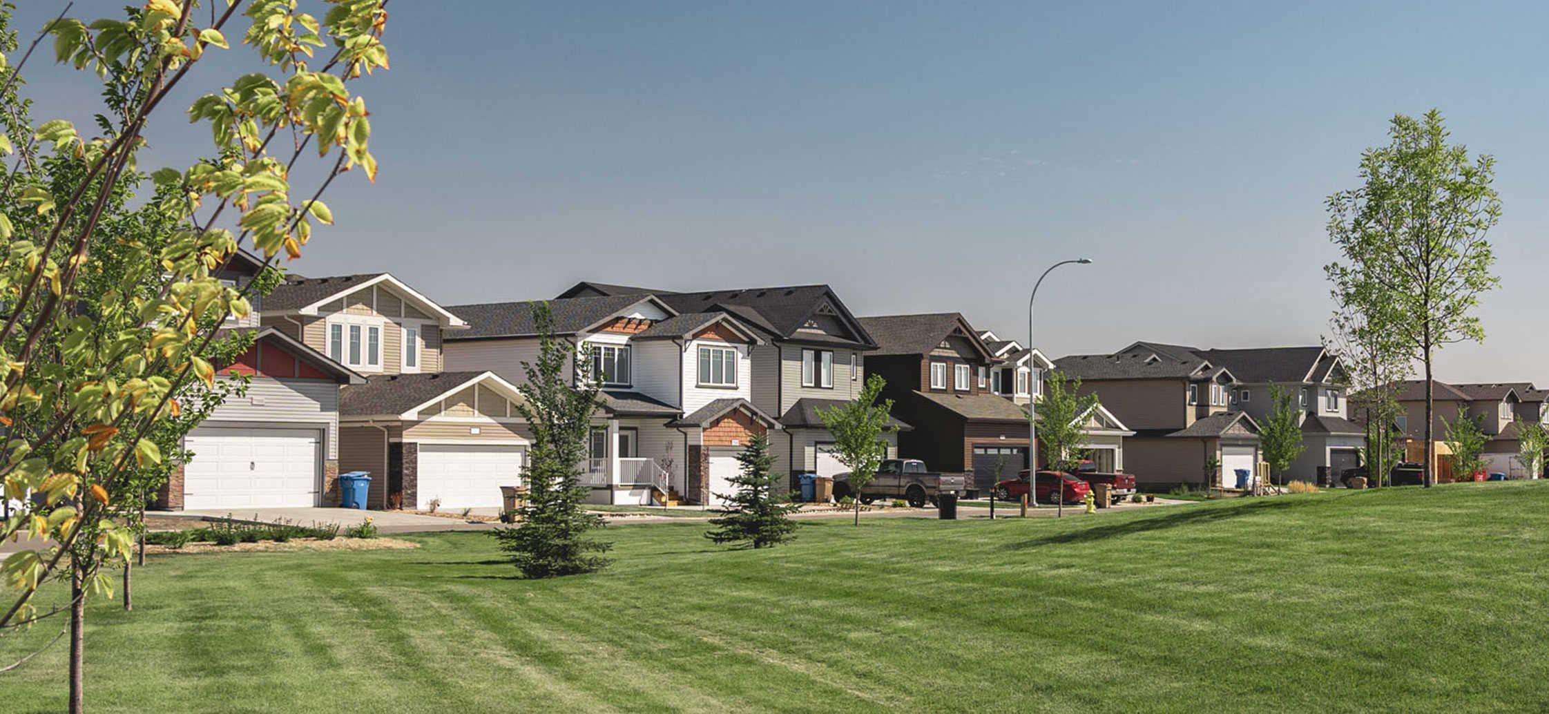 Westerra « Harvard Developments